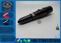 China New Fuel Injector 3047973 3030445 3016676 3022197 209986X 3071497 4914537 3054218 for  14.0L NH855 NT495 NT743 NT for sale