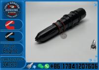 China New Fuel Injector 3047973 3030445 3016676 3022197 209986X 3071497 4914537 3054218 for  14.0L NH855 NT495 NT743 NT for sale