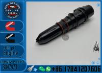 China New Fuel Injector 3047973 3030445 3016676 3022197 209986X 3071497 4914537 3054218 for  14.0L NH855 NT495 NT743 NT for sale
