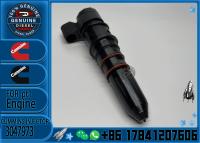 China New Fuel Injector 3047973 3030445 3016676 3022197 209986X 3071497 4914537 3054218 for  14.0L NH855 NT495 NT743 NT for sale