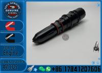 China Huida  4913325 4914308 4914325 4914328 Injector Compatible With  NT855 Diesel Engine for sale