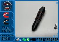 China Cum mins NTA855 Engine Parts Diesel Fuel Injector 3054218/3054253/3032392/4914308/4914325 Genuine Fuel Injector 3054218 for sale