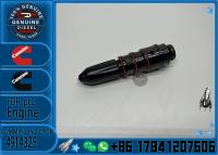 China Cum mins NTA855 Engine Parts Diesel Fuel Injector 3054218/3054253/3032392/4914308/4914325 Genuine Fuel Injector 3054218 for sale