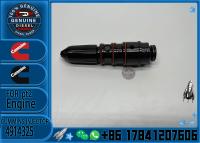China Cum mins NTA855 Engine Parts Diesel Fuel Injector 3054218/3054253/3032392/4914308/4914325 Genuine Fuel Injector 3054218 for sale