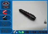 China Cum mins NTA855 Engine Parts Diesel Fuel Injector 3054218/3054253/3032392/4914308/4914325 Genuine Fuel Injector 3054218 for sale