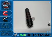 China Cum mins NTA855 Engine Parts Diesel Fuel Injector 3054218/3054253/3032392/4914308/4914325 Genuine Fuel Injector 3054218 for sale