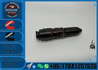 China Cum mins NTA855 Engine Parts Diesel Fuel Injector 3054218/3054253/3032392/4914308/4914325 Genuine Fuel Injector 3054218 for sale