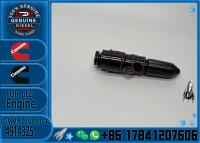 China Cum mins NTA855 Engine Parts Diesel Fuel Injector 3054218/3054253/3032392/4914308/4914325 Genuine Fuel Injector 3054218 for sale