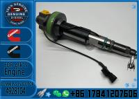 China Common Rail Diesel Fuel Injector 4928104 F00BL0J014 For  QSK19 QSK38 QSK60 for sale