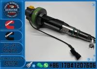 China Common Rail Diesel Fuel Injector 4928104 F00BL0J014 For  QSK19 QSK38 QSK60 for sale