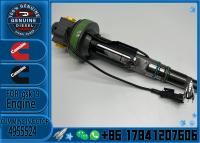China parts QSK19 QSK50 QSK60 Diesel Fuel Injector 2882079 4964172 4964170 4955524 2867148 2867149 4964171 for sale