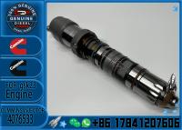 China 4088431 Genuine Diesel Engine Common Rail QSX15 Fuel Injector 4076533 4902827 4062090 4077076 for sale