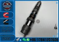 China Remanufactured High quality common rail diesel fuel injector 4087894 4927348 for sale