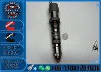 China Remanufactured High quality common rail diesel fuel injector 4087894 4927348 for sale