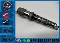 China Q19 diesel engine common rail injector 4087888 4087889 4928348 4010025 4928345 4928346 for sale