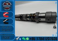 China Common Rail Fuel Injector Assembly 4928349 4087890 4928345 4928346 4928347 for QSK60 for sale