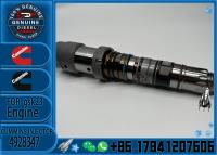 China Common Rail Fuel Injector Assembly 4928349 4087890 4928345 4928346 4928347 for QSK60 for sale