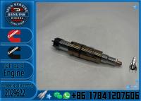 China Diesel Engine Injector 574232 2488244 2029622 575178 1948565 XPI Fuel Injector 574423 2057401 203183 EURO6 DC13 Engine for sale