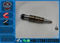 China 2029622 Genuine Diesel Common Rail Fuel Injector 1948565 2030519 2031836 2031835 2086663 for sale
