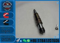 China 2872289 2872289PX 2872289RX 2872544 Diesel Fuel Injector for ISZ ISX ISX12 ISX15 Engine for sale