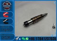 China 2872289 2872289PX 2872289RX 2872544 Diesel Fuel Injector for ISZ ISX ISX12 ISX15 Engine for sale