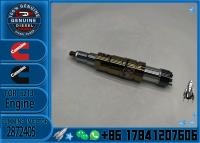 China ISX15 CRI D10 ISX XPI Diesel Engine Fuel Injector 5579415 5579417 2894920 2872405 for sale
