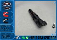 China Diesel Common Rail Injector 3411821 3087648 3018835 For C-ummins M11 Engine for sale