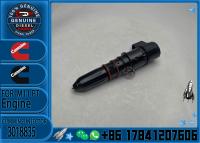 China Diesel Common Rail Injector 3411821 3087648 3018835 For C-ummins M11 Engine for sale