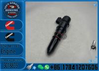 China Diesel Common Rail Injector 3411821 3087648 3018835 For C-ummins M11 Engine for sale