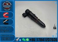 China Diesel Common Rail Injector 3411821 3087648 3018835 For C-ummins M11 Engine for sale