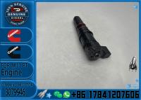 China Engine Parts Fuel Injector 3079946 3406604 3411821 3071497 for  NTA855 M11 Engine for sale