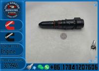 China Engine Parts Fuel Injector 3079946 3406604 3411821 3071497 for  NTA855 M11 Engine for sale