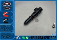 China Engine Parts Fuel Injector 3079946 3406604 3411821 3071497 for  NTA855 M11 Engine for sale