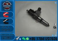 China High Quality Fuel Injector 4307795 For N14 QSN14 Diesel Engine Common Rail Injector 4307795 3073995F for sale