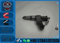 China Diesel Fuel Injector 3081315 3073995F 3083846T 3083848F 3411766F 3080931F 3087558F For  QSN14 N14 for sale