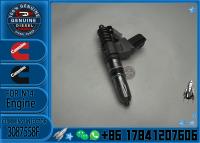 China Diesel Fuel Injector 3081315 3073995F 3083846T 3083848F 3411766F 3080931F 3087558F For  QSN14 N14 for sale