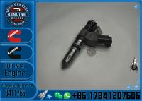 China N14 Engine Common Rail Fuel Injector 4307516 3411691 3087560 3411765 for  N14 for sale