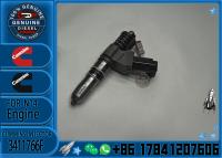 China Diesel Fuel Injector 3081315 3073995F 3083846T 3083848F 3411766F 3080931F 3087558F For  QSN14 N14 for sale
