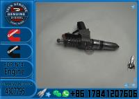 China Common Rail Fuel Injector 4307795 3411767 3411759 3411381 For  QSN14 N14 Engine for sale