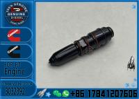 China Common rail injector fuel injecto 3054218 3054253 3032392 4914325 for PT Excavator NTA855 for sale