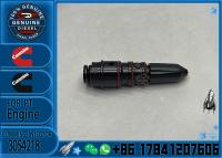 China NT855 NTA855 Shantui SD32 original diesel fuel injection pump fuel injector 3054218 3018566 3018323 for  engine for sale