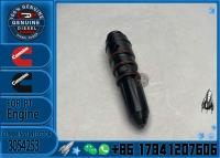 China Common rail injector fuel injecto 3054218 3054253 3032392 4914325 for PT Excavator NTA855 for sale