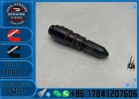 China Common rail injector fuel injecto 3054218 3054253 3032392 4914325 for PT Excavator NTA855 for sale