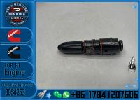 China Common rail injector fuel injecto 3054218 3054253 3032392 4914325 for PT Excavator NTA855 for sale