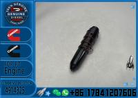 China Nt855 Nta855 Nta855-c280s10 Diesel Engine Parts Common Rail Fuel Injector 4914325 3054218 3018566 for sale