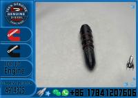 China Nt855 Nta855 Nta855-c280s10 Diesel Engine Parts Common Rail Fuel Injector 4914325 3054218 3018566 for sale