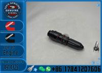 China Nt855 Nta855 Nta855-c280s10 Diesel Engine Parts Common Rail Fuel Injector 4914325 3054218 3018566 for sale