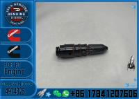 China Nt855 Nta855 Nta855-c280s10 Diesel Engine Parts Common Rail Fuel Injector 4914325 3054218 3018566 for sale