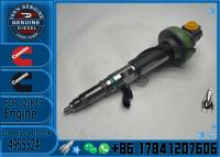 China 4964170 Diesel QSK19 Engine Common Rail Fuel Injector 4955524 2867149 4955527 2882079 4964173 for sale