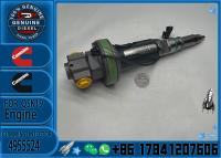 China 4964170 Diesel QSK19 Engine Common Rail Fuel Injector 4955524 2867149 4955527 2882079 4964173 for sale